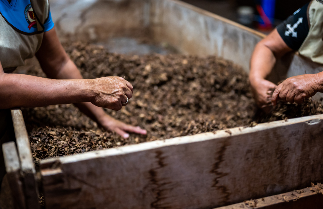 “Hagamos composta”: la solución para reducir los daños por tus residuos