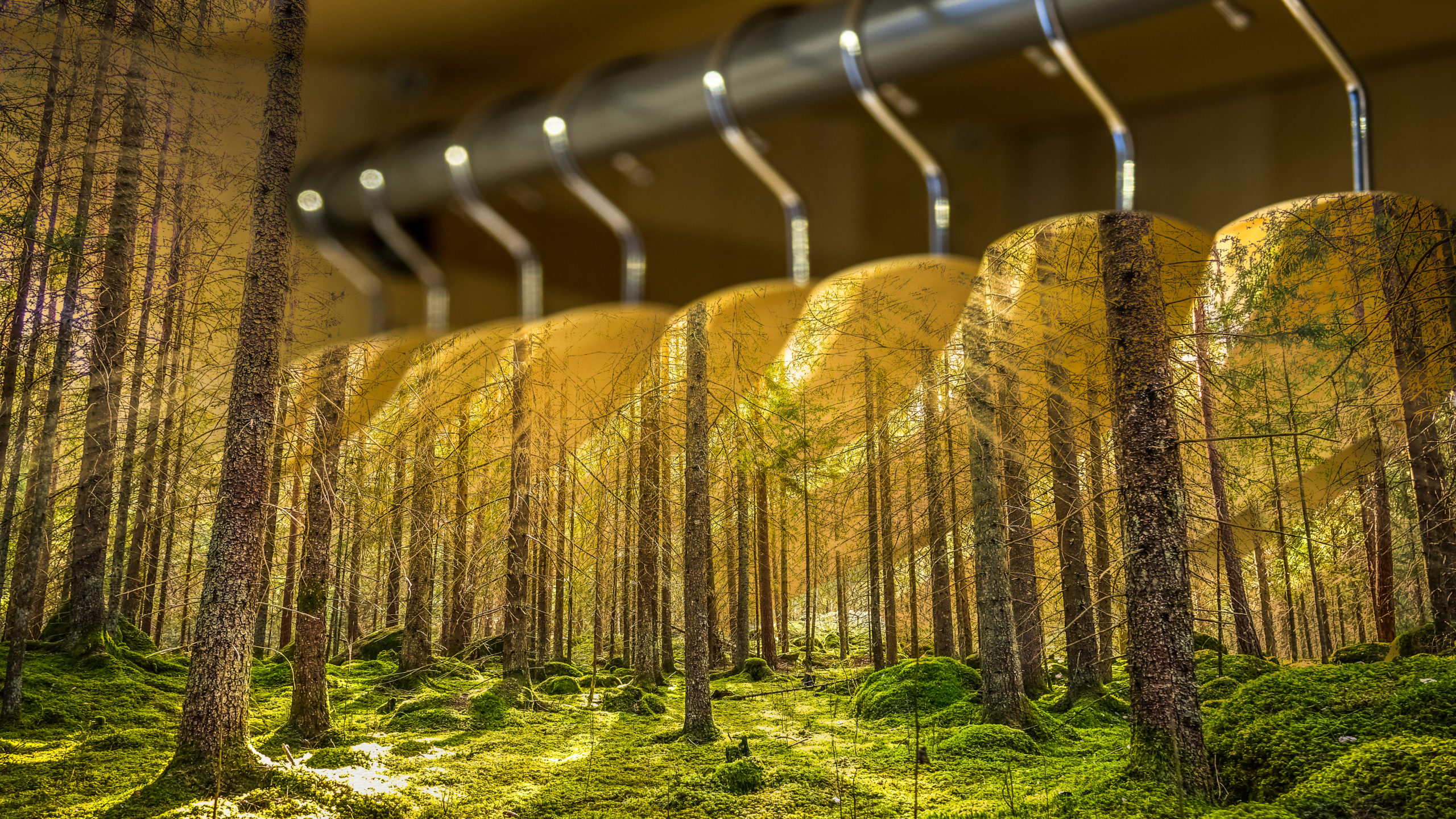 Premian a lo más destacado de la colecciones de moda eco friendly