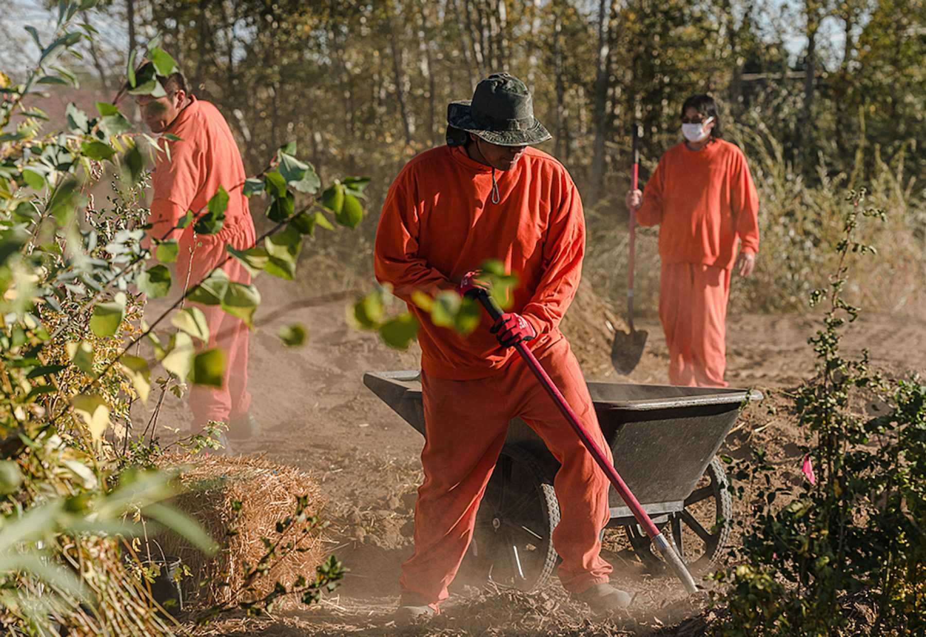 Un bosque dentro de la cárcel: el impactante proyecto de reinserción social