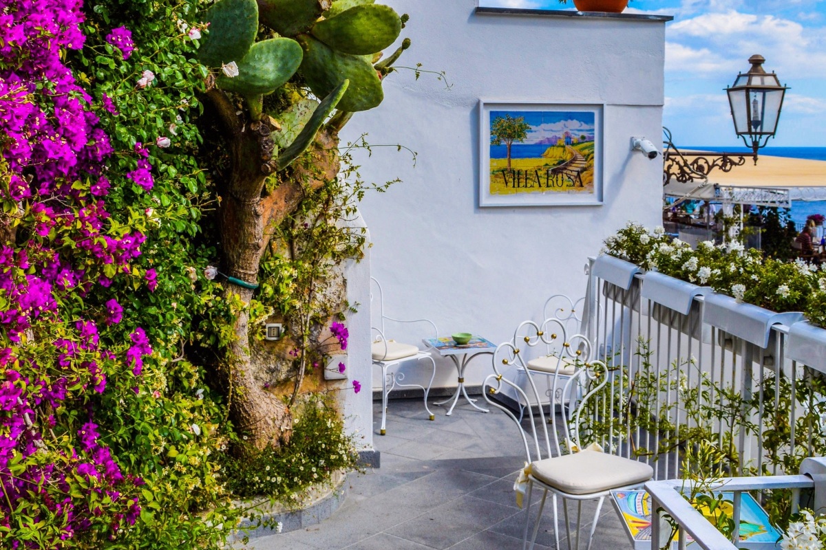 5 plantas trepadoras para decorar tu balcón, ¡muy fáciles de cuidar!