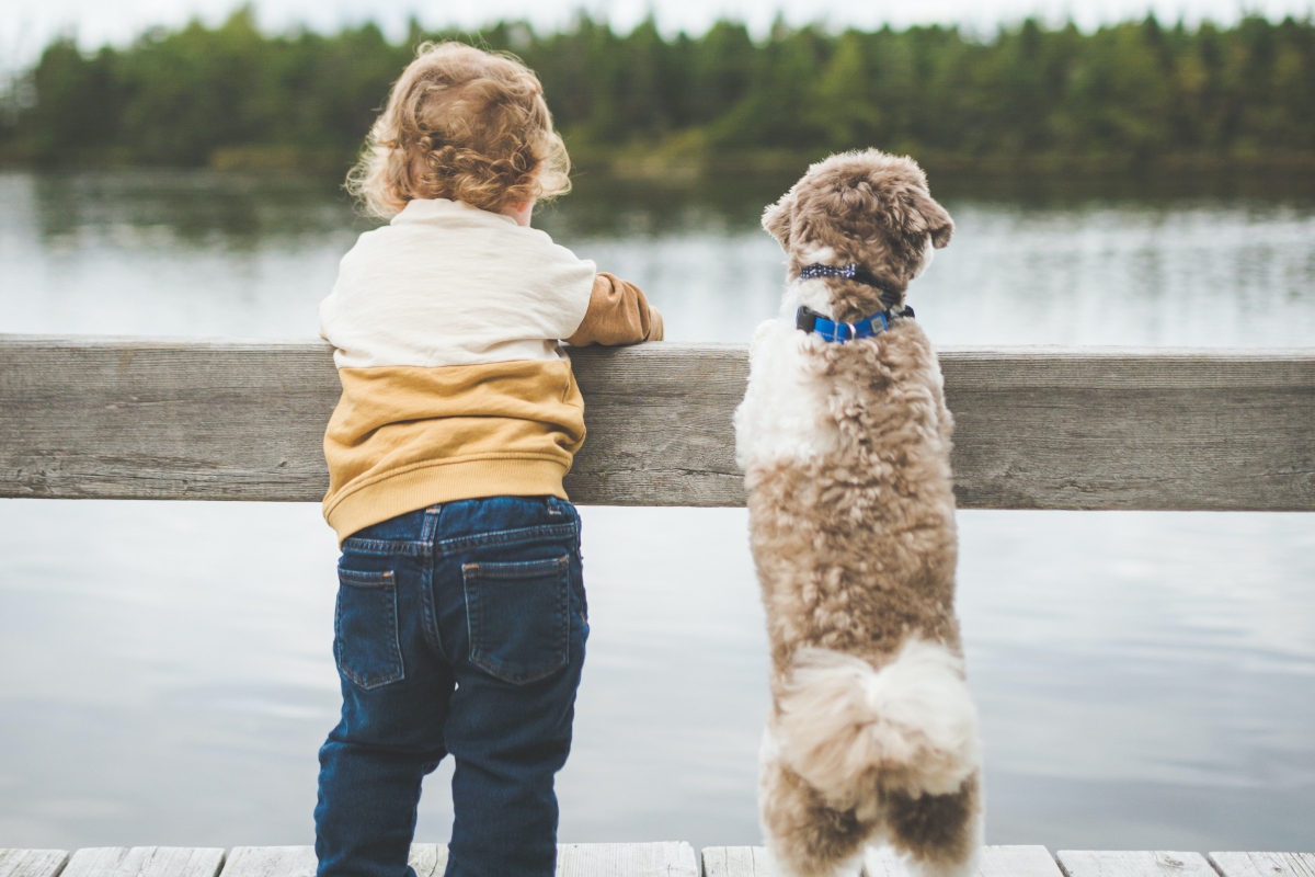 Día Mundial del Perro: y su relación con los seres humanos