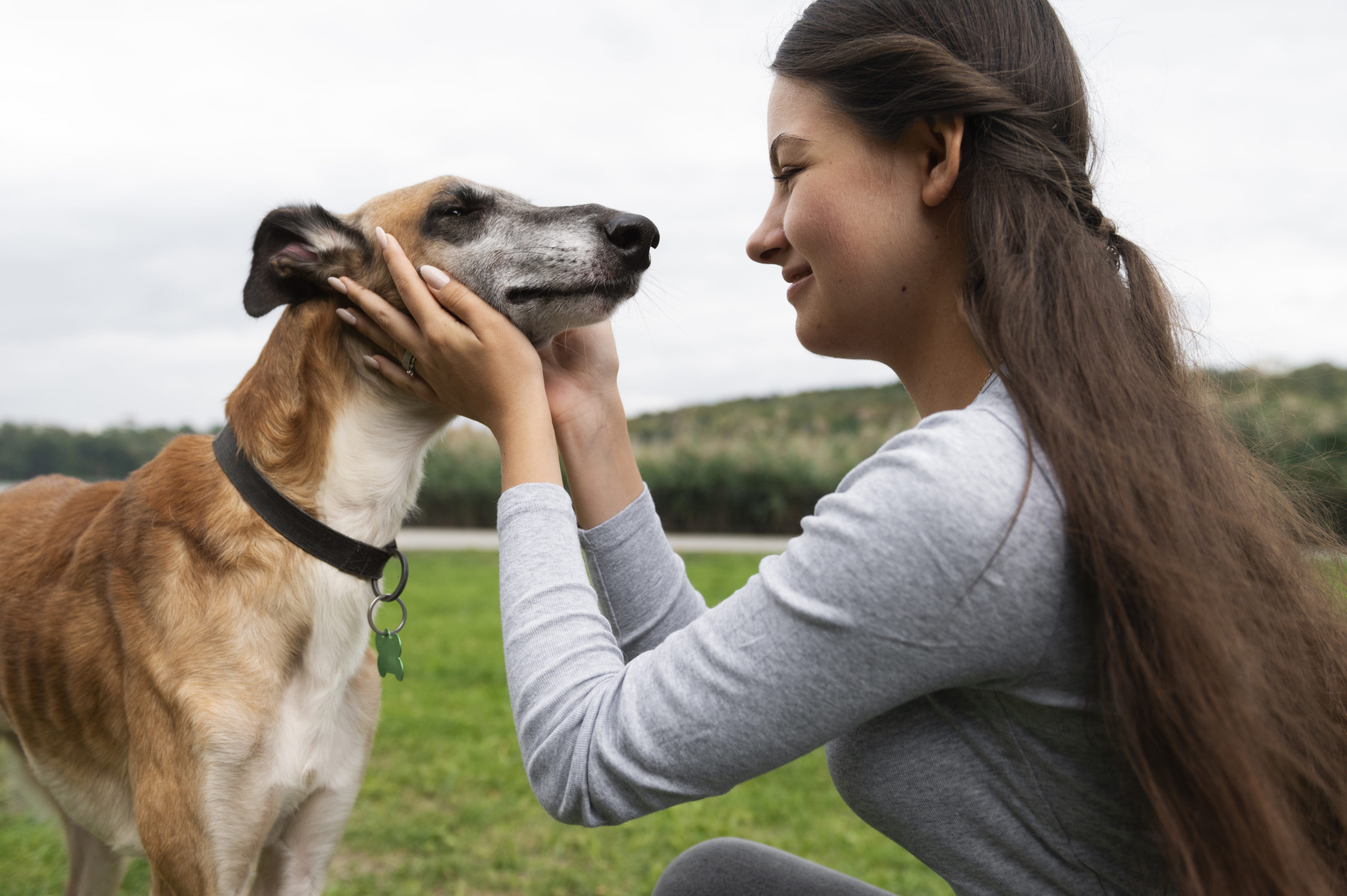 Humanos y perros sincronizan su cerebro cuando se miran: estudio