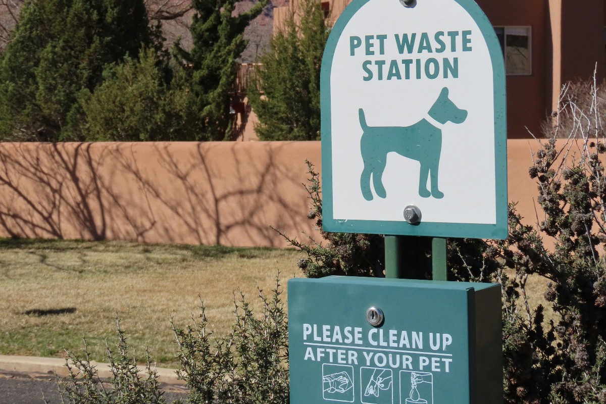 ¿Dónde debemos tirar la popó de nuestro perro?